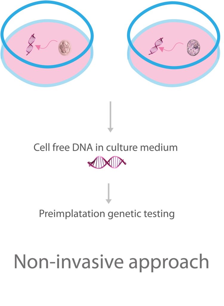 PREIMPLANTATION GENETIC TESTING AND BIOPSY TECHNIQUES | Revista Asebir